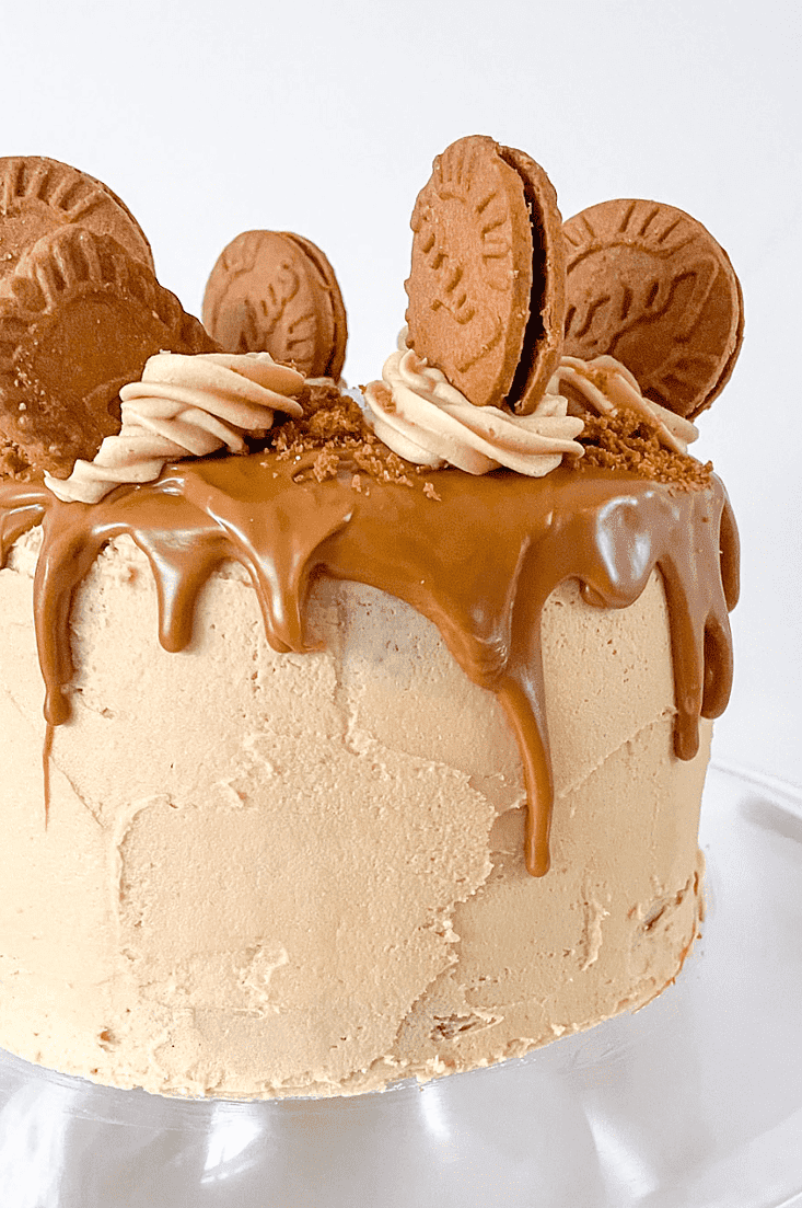 Vegan Biscoff Cake - By The Forkful