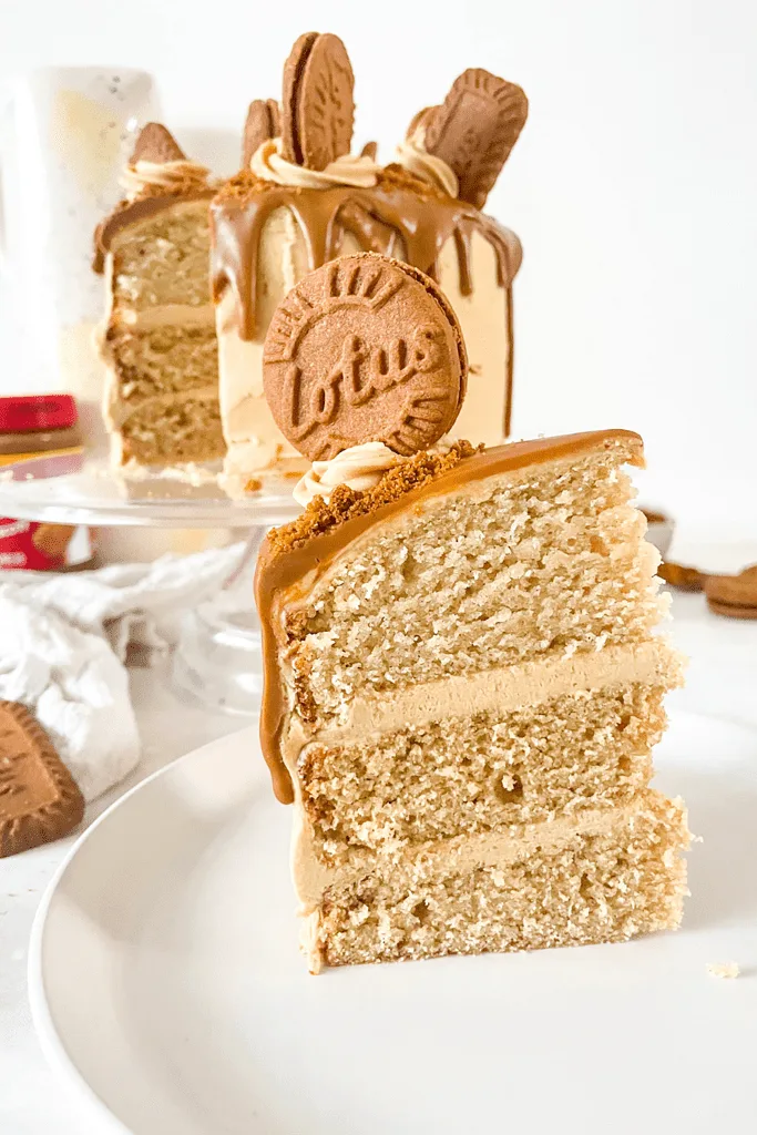 Vegan Biscoff Cake - By The Forkful
