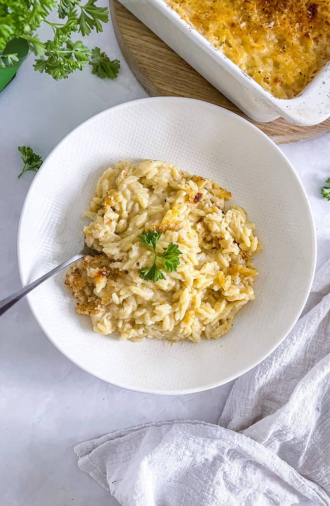 Orzo Mac and Cheese - By The Forkful