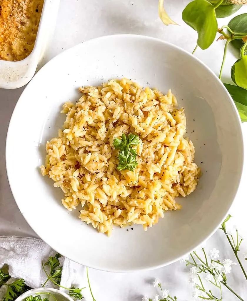 Orzo Mac and Cheese - By The Forkful