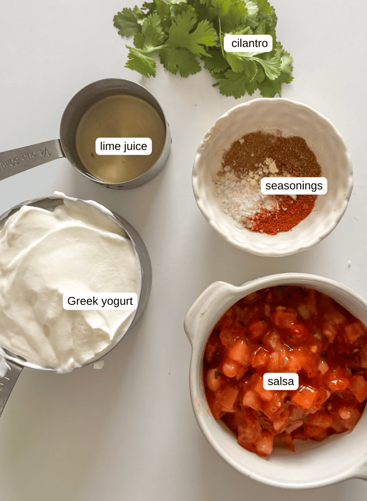 Creamy Salsa Dressing - By The Forkful