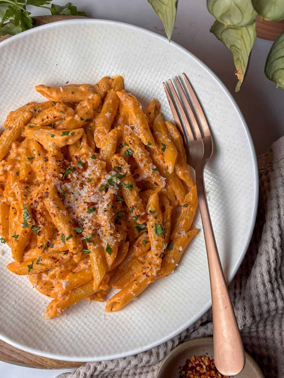 Vodka Pasta - By The Forkful